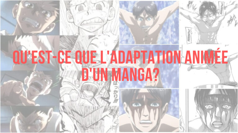 Qu’est-ce qu’une adaptation anime d’un manga?