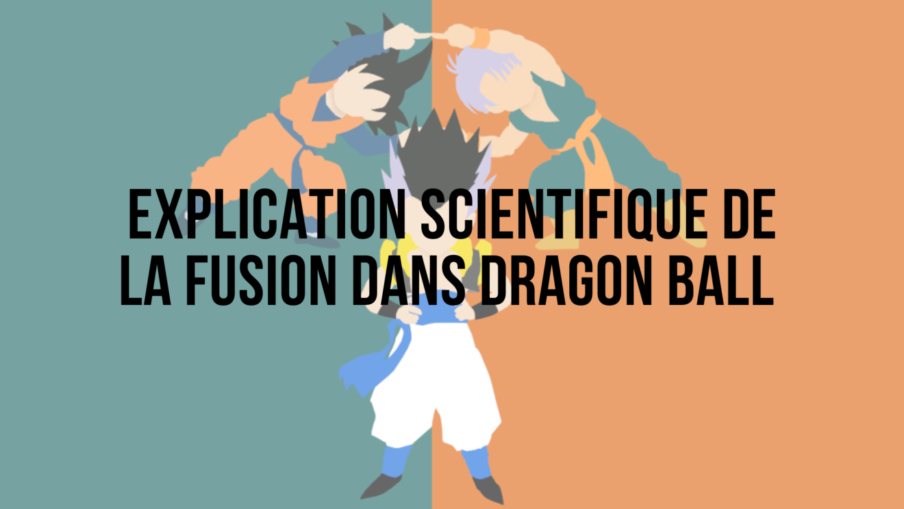 Comment fonctionnent les fusions de Dragon Ball Z ? Enfin expliqué par ...
